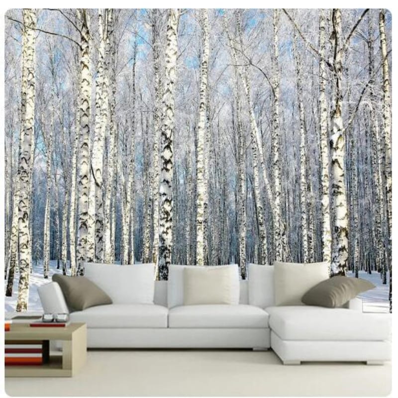 Birch Tree Wallpaper - Etsy