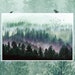 Misty Forest Scene Mural Palm Tree Forests Mural Forest Haze - Etsy