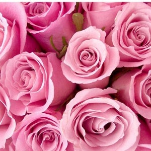 3D Pink Rose Floral Wallpaper, Hand Painted Big Rose Floral Wall Murals ...