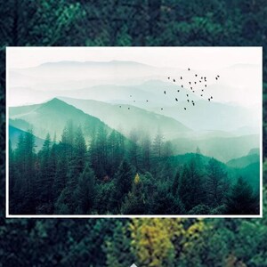 Ombre Mountains Trees Forest Mural Wallpaper, Handpainted Pine Trees ...