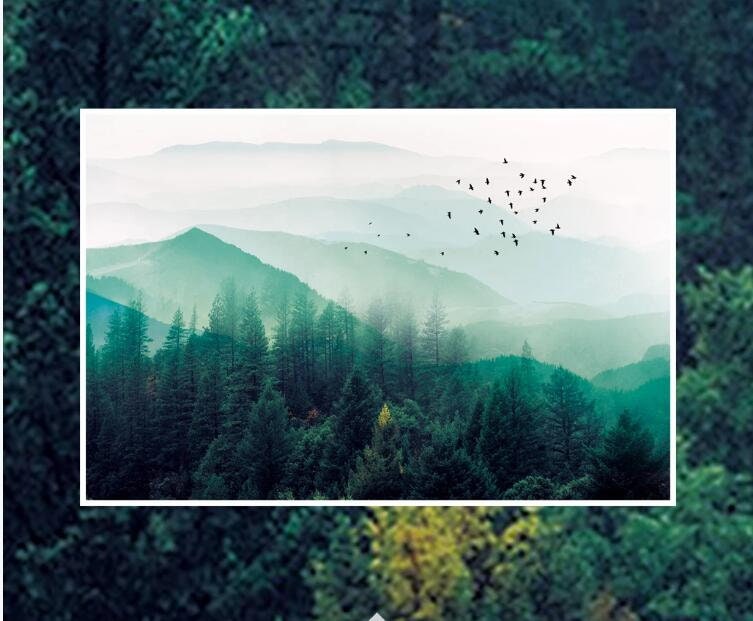 Ombre Mountains Trees Forest Mural Wallpaper Handpainted Pine | Etsy