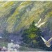 Oil Painting Abstract Countryside Landscape Wallpaper Wall Mural ...