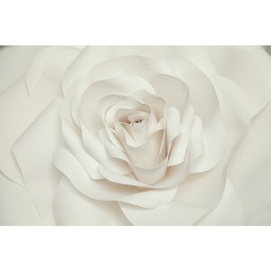 Big White Rose Flower Wallpaper Home Decor Wall Murals - Etsy