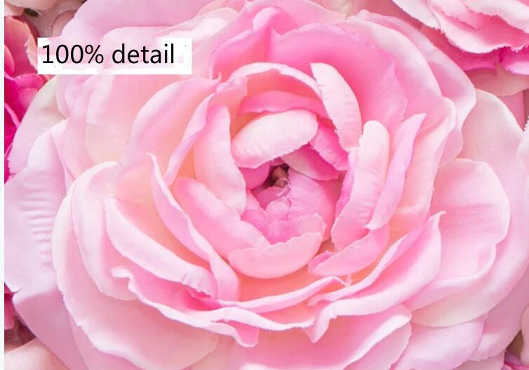 3D Oil Painting Red and Pink Big Rose Wallpaper 3D Hand - Etsy