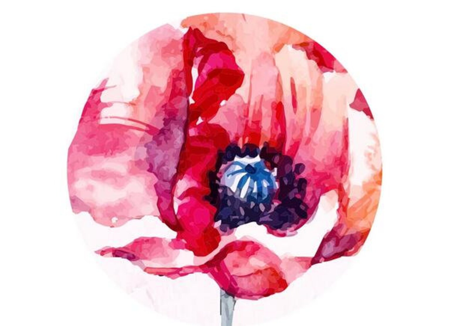 Watercolor Corn Poppy Flowers Floral Wallpaper Wall Mural - Etsy