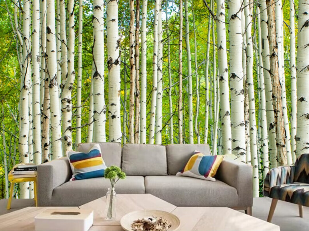 Abstract Birch Tree Forest Wallpaper Wall Mural Wall Decor for Living ...