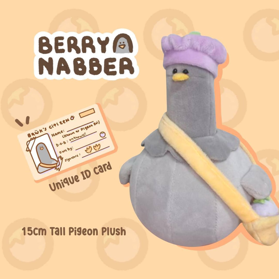Pigeon Boi Plush Set by Berry Winkle Bird Bois Plush Soft Toy Bird ...