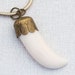 16'' Vintage Beast Tooth Choker Necklace - A7 - Etsy