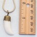 16'' Vintage Beast Tooth Choker Necklace A7 - Etsy