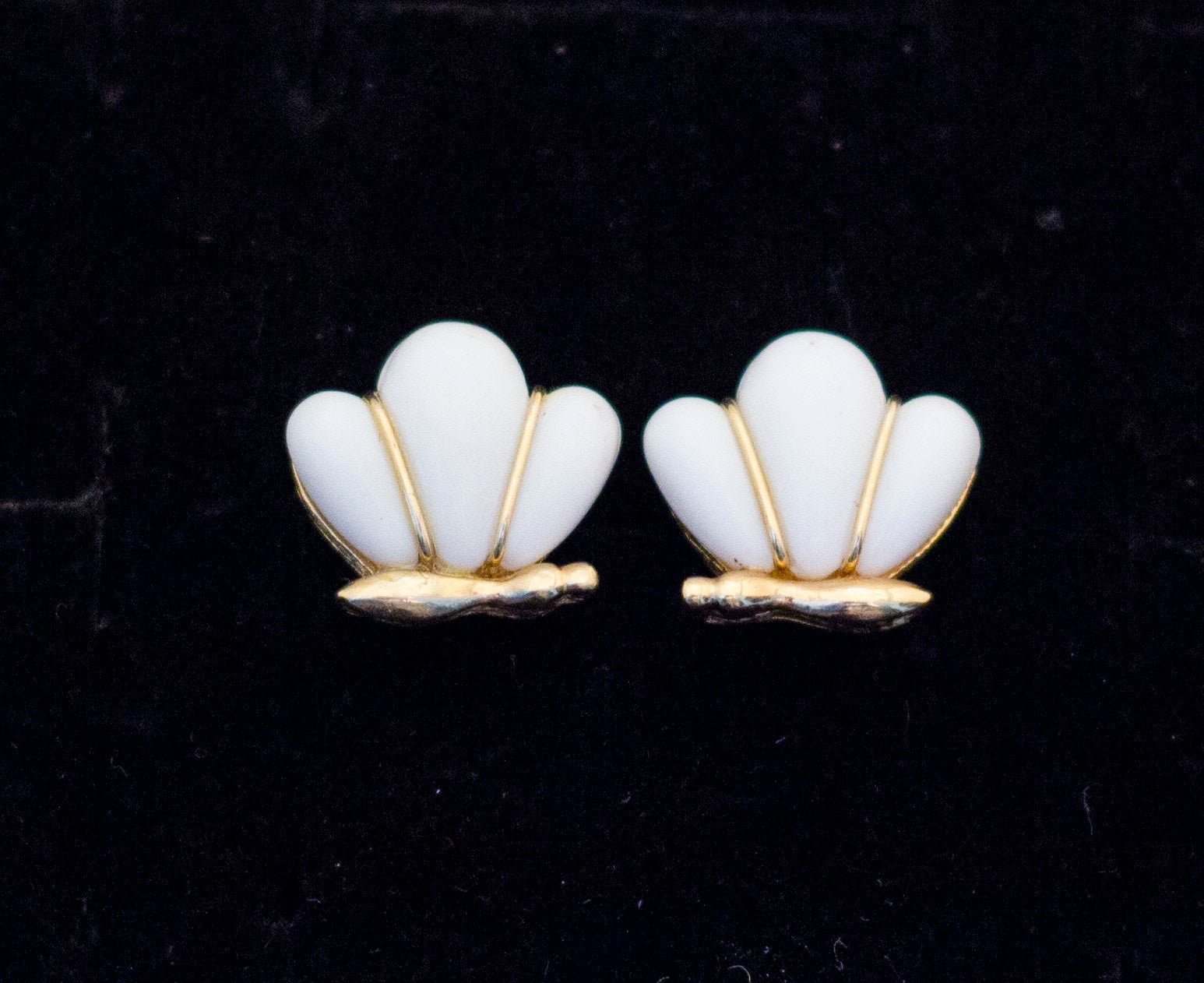 Vintage Clam Earrings, Minimal Clam Earrings, Clam Earrings, Beach ...