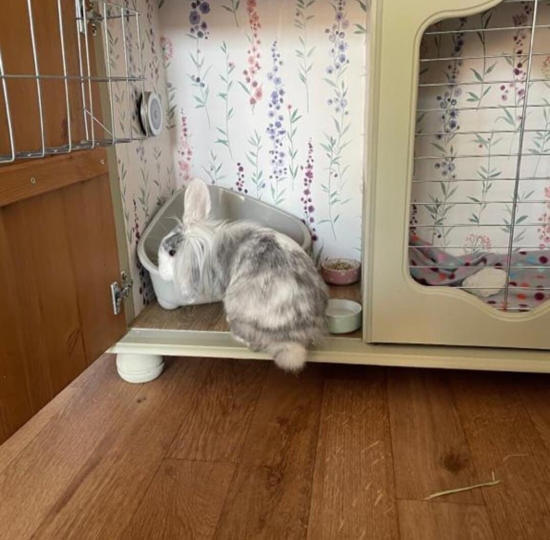Luxury Indoor Rabbit Hutch. Rabbit House. Bunny House. Rabbit - Etsy UK