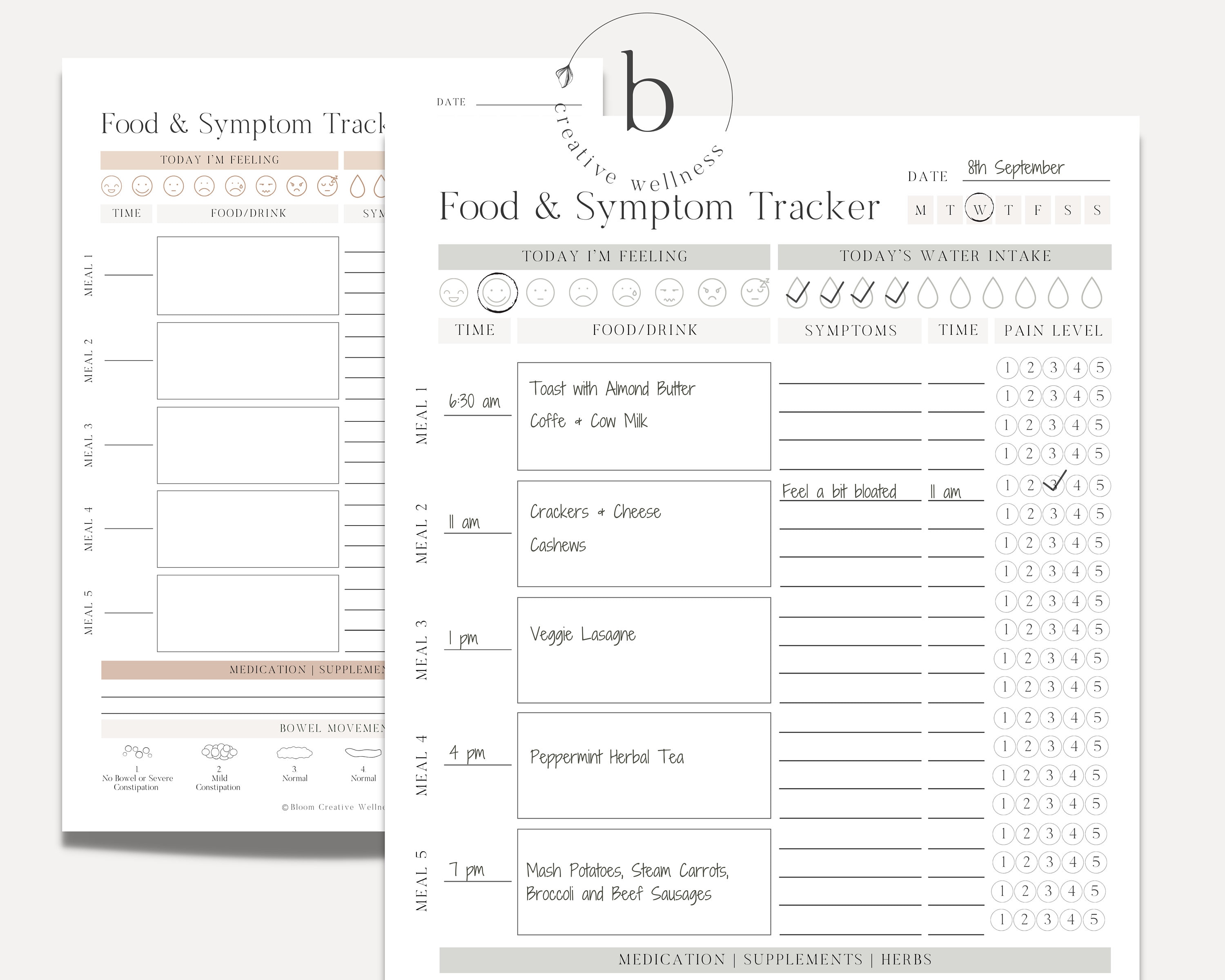 Printable Food & Symptom Tracker Digital Food Sensitivity - Etsy Canada