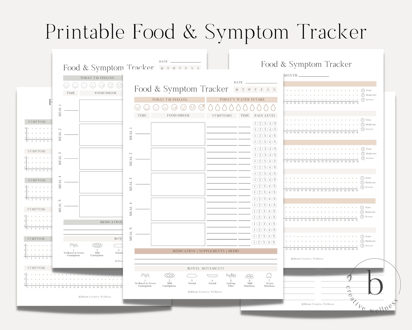 Printable Food & Symptom Tracker Digital Food Sensitivity - Etsy