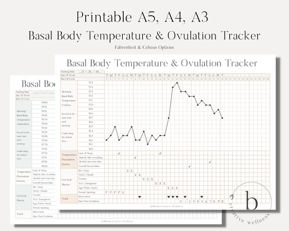 Printable Basal Body Temperature & Ovulation / Fertility / - Etsy