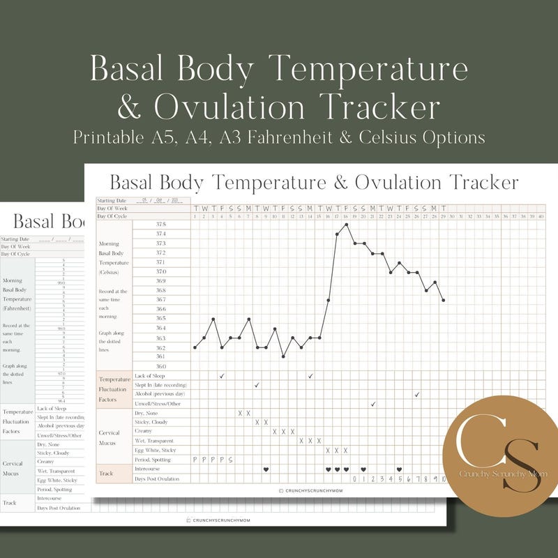 Chart of Base 5 - Etsy