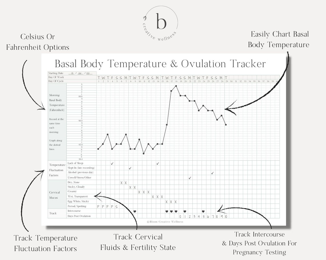 Printable Basal Body Temperature & Ovulation / Fertility / Pregnancy ...