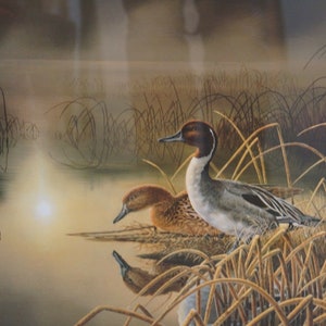 Signed Darrell Davis Ducks Reflection Limited Edition Lithograph Print ...