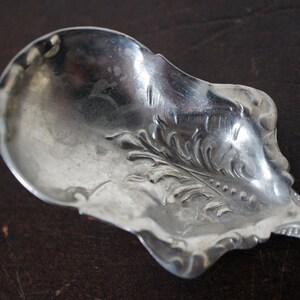 Antique Yukon Silver Warranted Sugar Shell Serving Spoon Beaded ...
