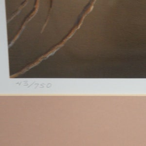 Signed Darrell Davis Ducks Reflection Limited Edition Lithograph Print ...