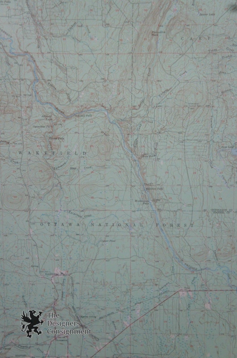 Topographical Map of Wakefield Michigan Ottawa National Forest | Etsy
