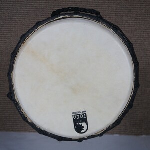 Vintage Toca Hand Percussion Djembe Drum Painted Folk Art Gecko Lizard ...