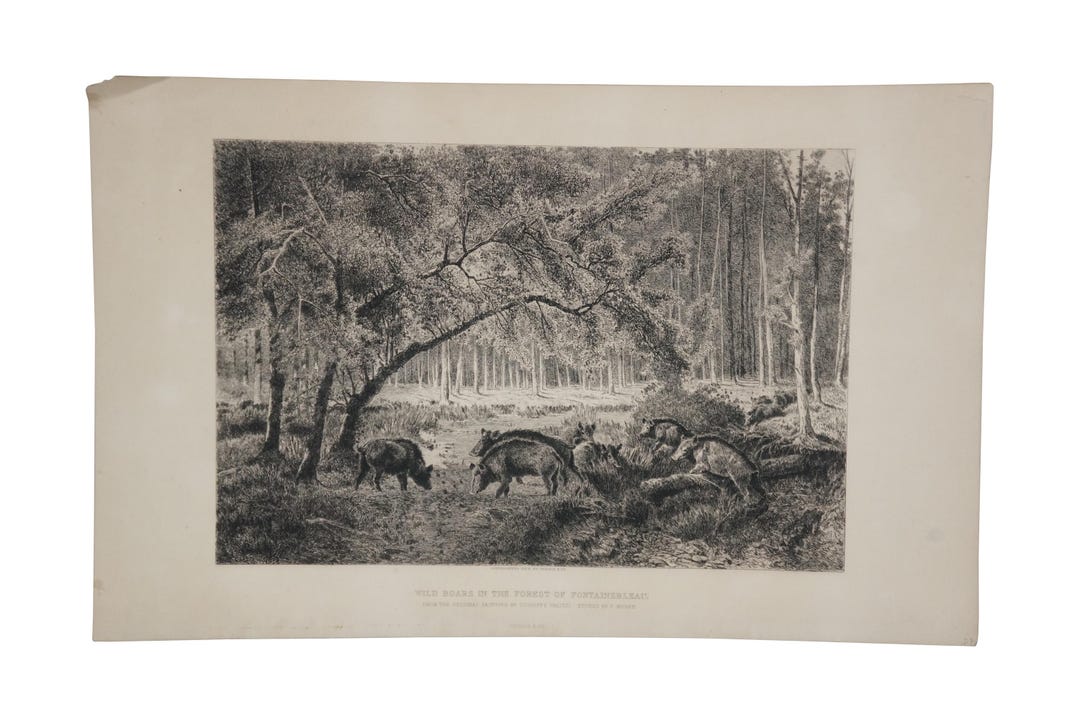 Antique Peter Moran Wild Boars in the Forest of Fontainebleau France ...