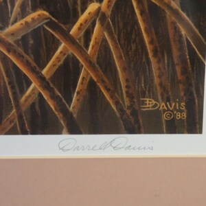 Signed Darrell Davis Ducks Reflection Limited Edition Lithograph Print ...