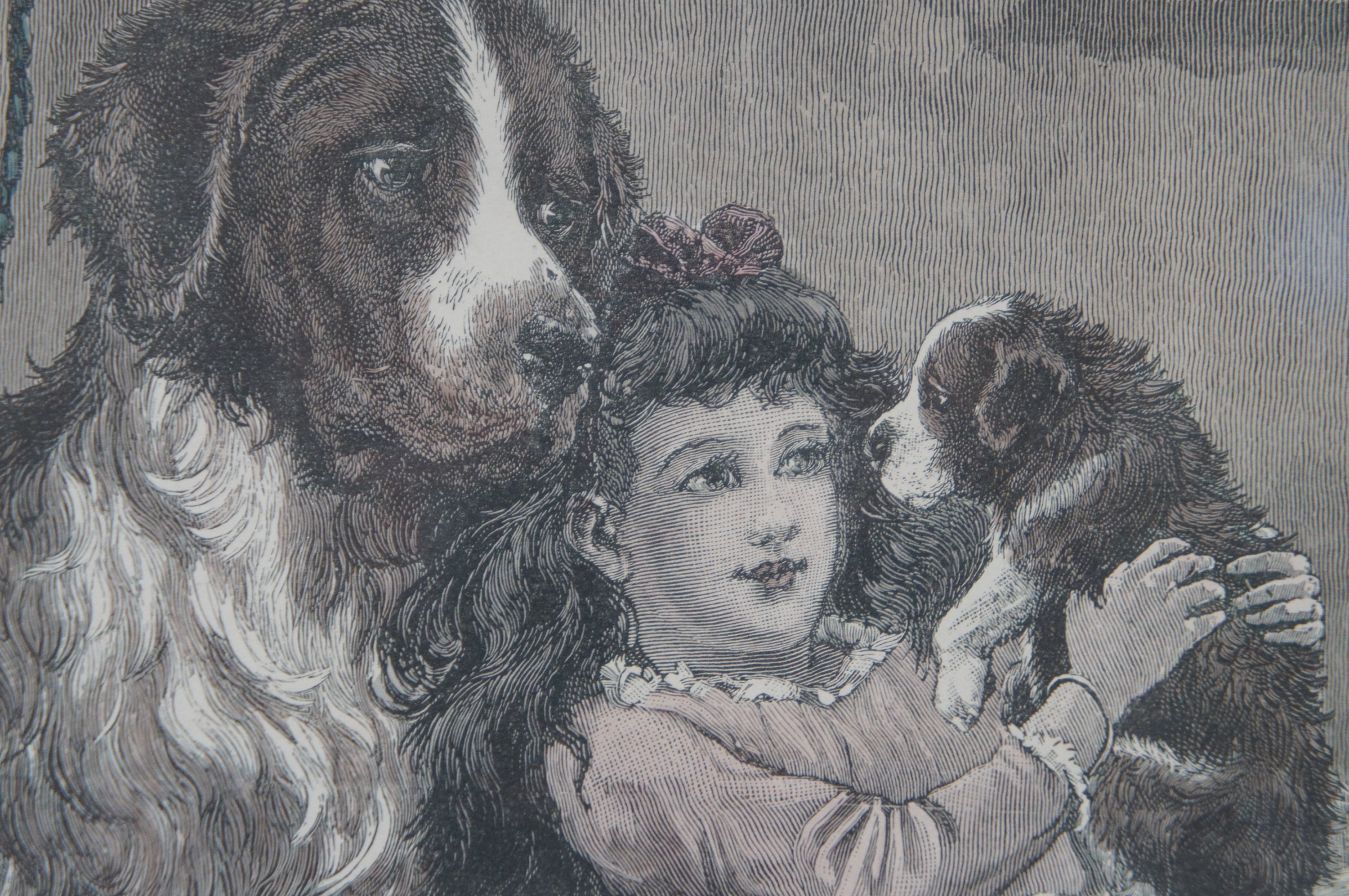 Stanley Berkely London News Privileged Visitor St Bernard Girl Dog ...