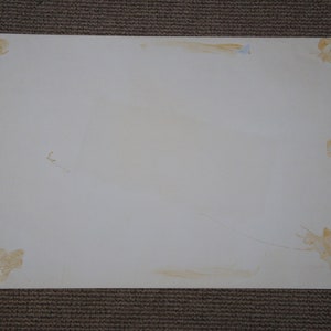 Original 1977 Boxer Absolutely New Album Rock Promo Poster Epic Records ...