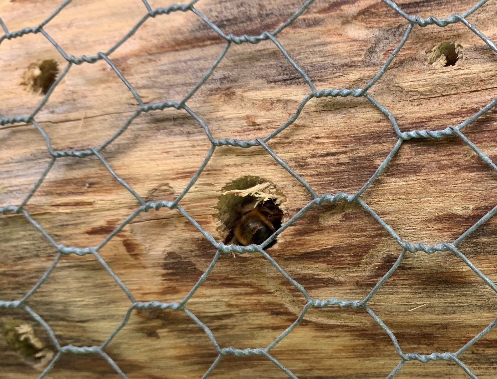 Large Insect Hotel Kit DIY Insect House Insect House House | Etsy UK