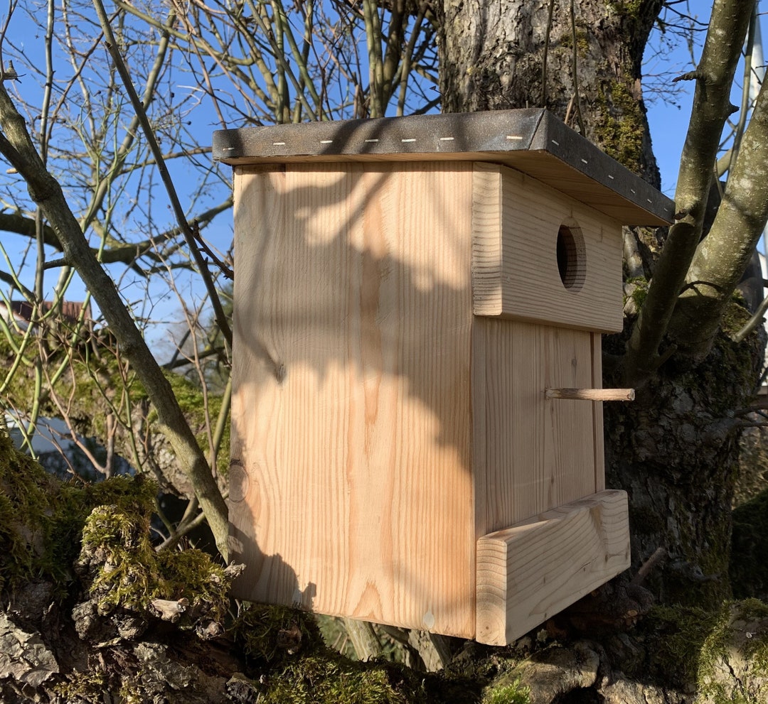 Nesting Box for Starlings, Bird Box Starlings, Nesting Aid for Birds ...