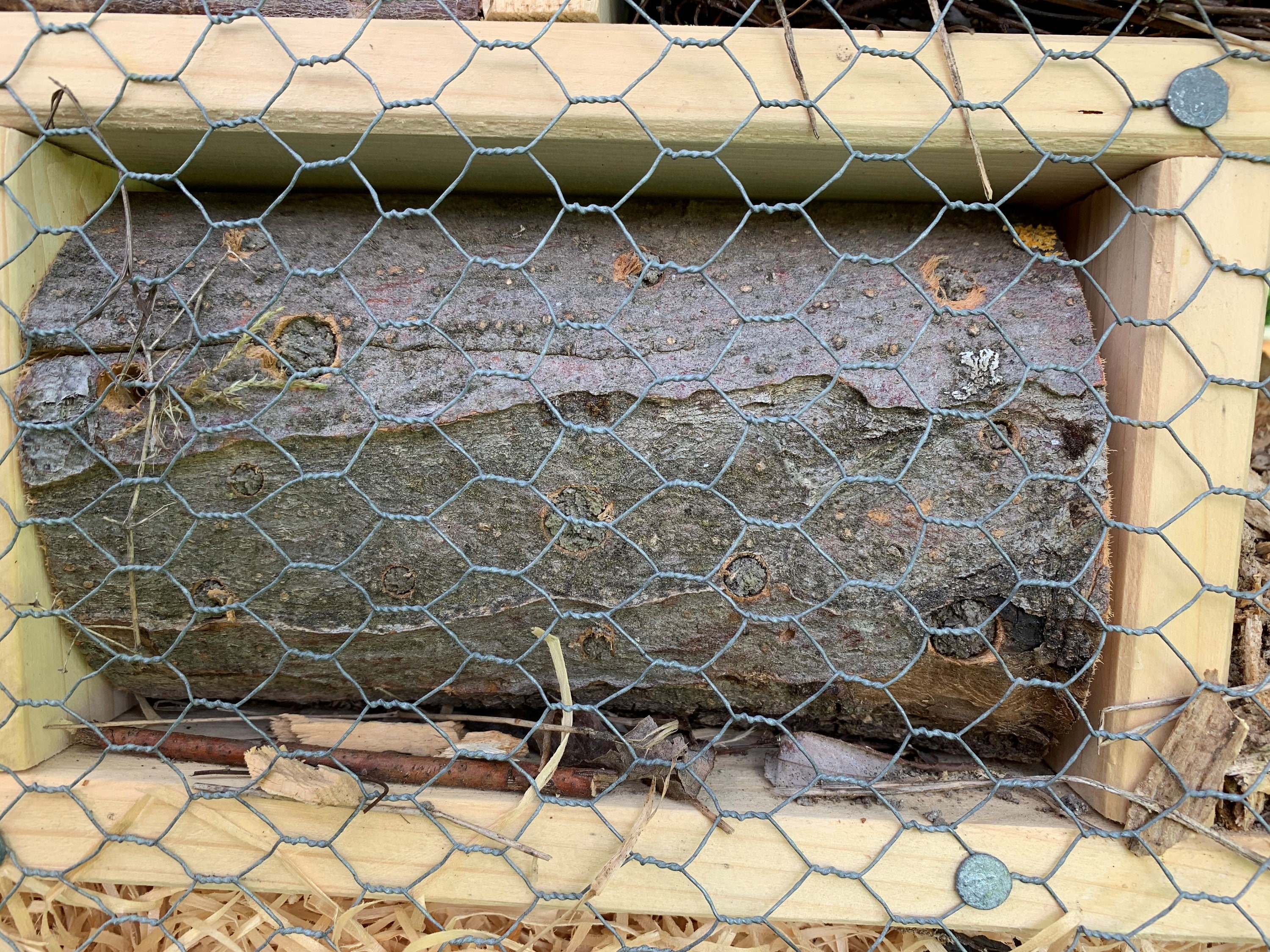 Large Insect Hotel Kit DIY Insect House Insect House House - Etsy