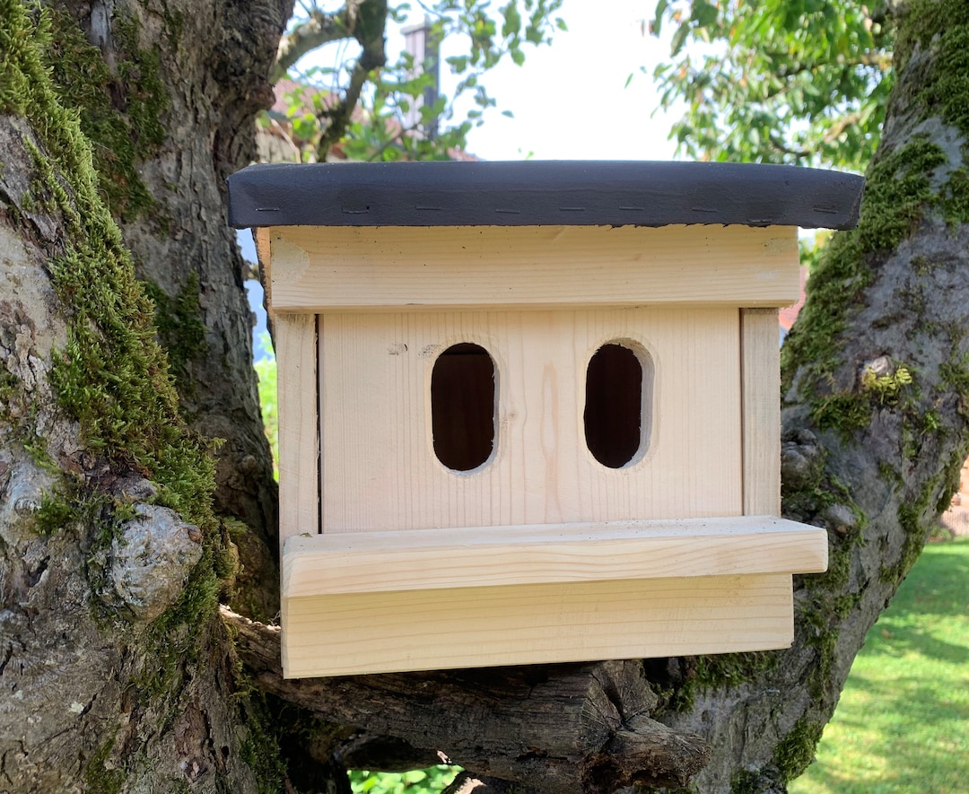 Nesting Box for Garden Redstarts and Robins, Birdhouse for Redstarts ...