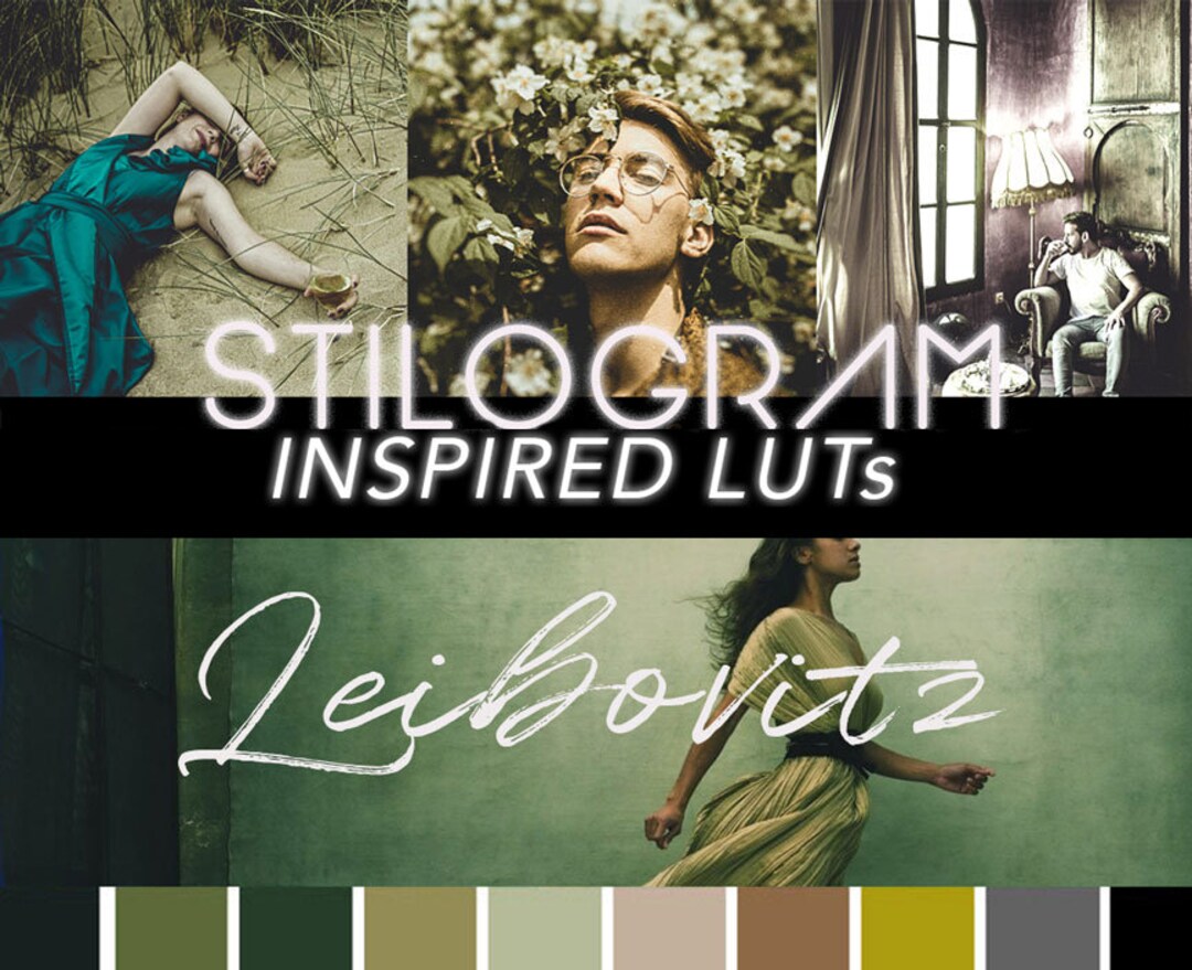 Leibovitz-inspired 3D LUT Pack for a Luxe, Rich Color Palette, Stylish ...