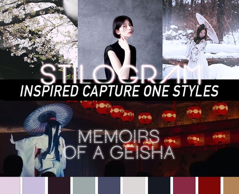 Memoirs of a Geisha Styles for Capture One - Moody Dark Looks for Pro ...