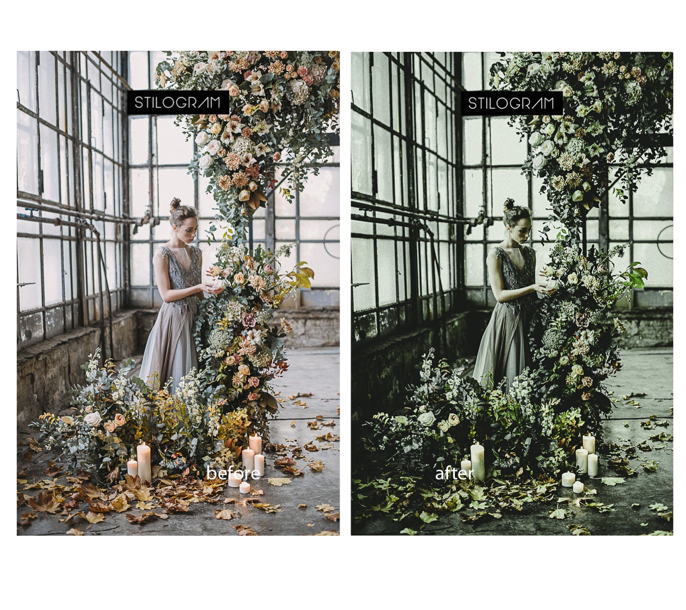 Leibovitz-inspired 3D LUT Pack for a Luxe, Rich Color Palette, Stylish ...