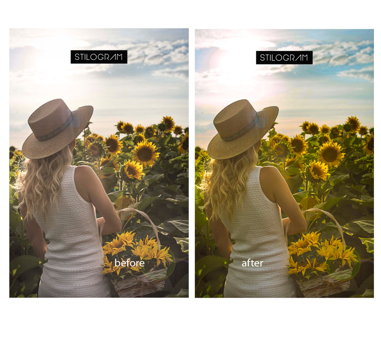 Luts Inspired by Van Gogh for Film & Video Color Grading -warm Yellow ...