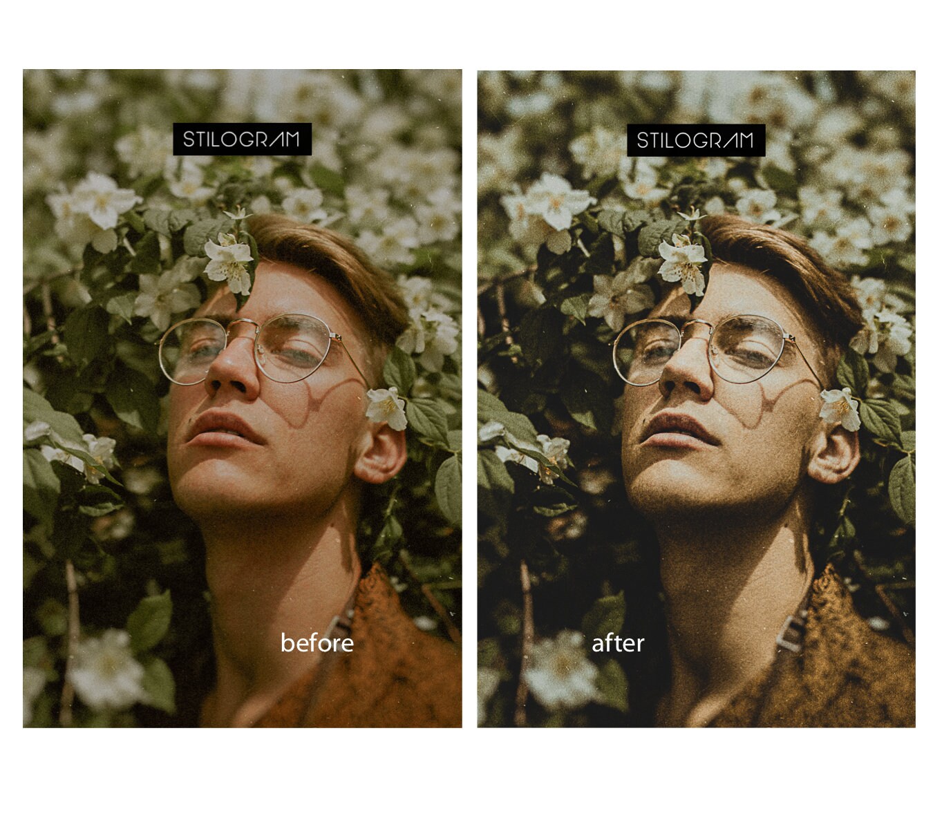 Leibovitz-inspired 3D LUT Pack for a Luxe, Rich Color Palette, Stylish ...