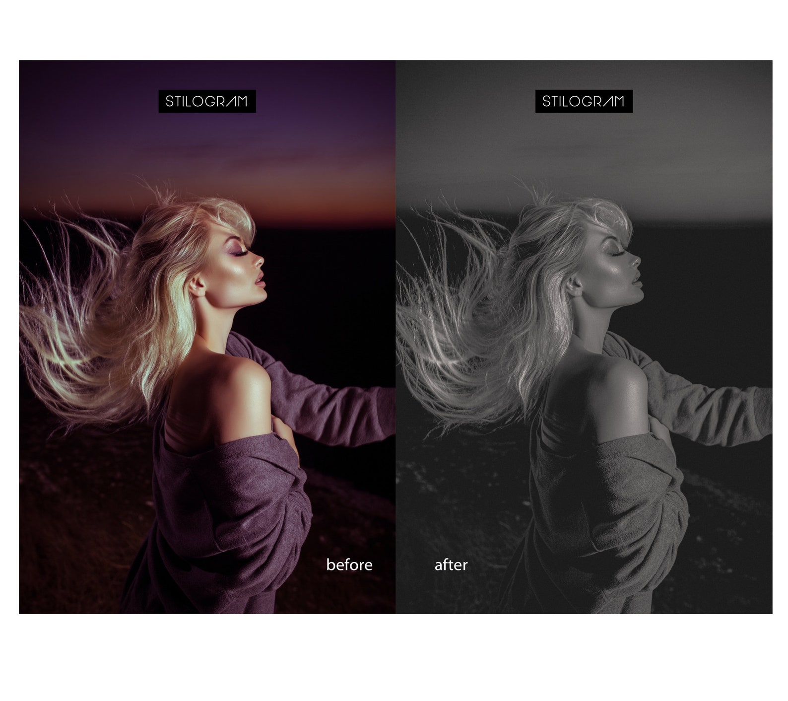 HERB RITTS Inspired Luts for Video Editing - B&W Filters, Silver ...