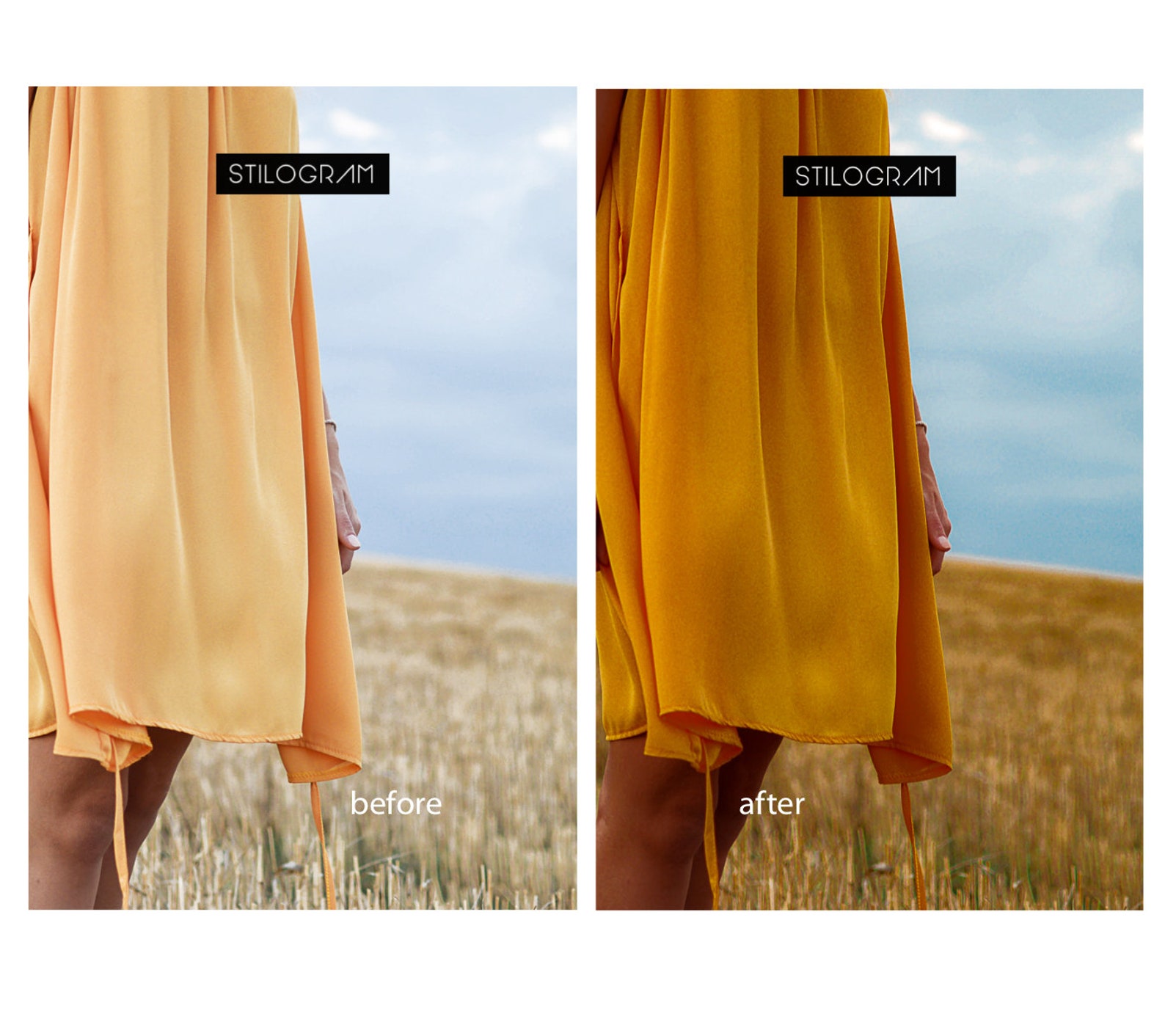 Luts Inspired by Van Gogh for Film & Video Color Grading -warm Yellow ...