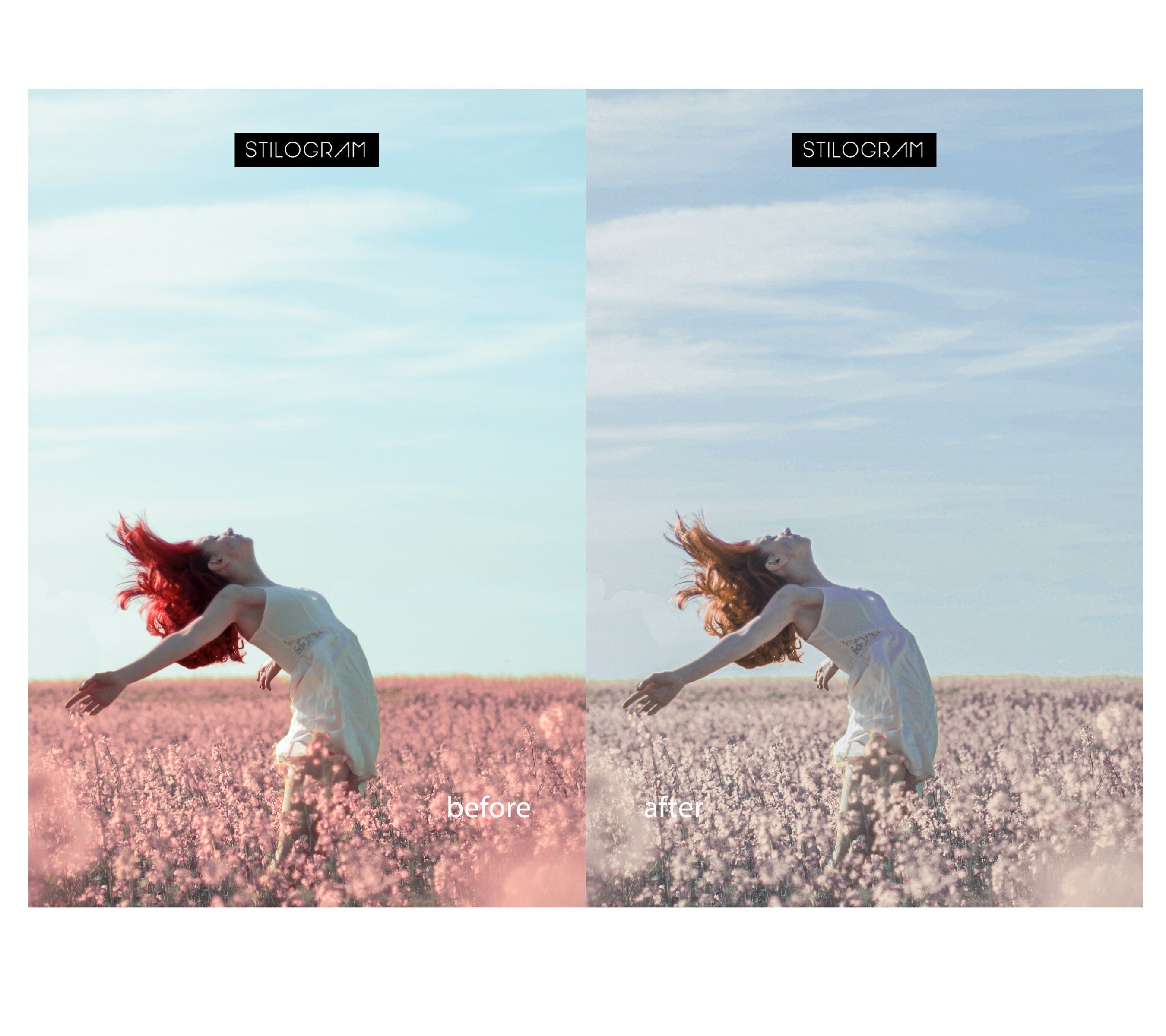 MONET Photoshop Actions Inspired by Art / Beautiful Pastel Palette ...