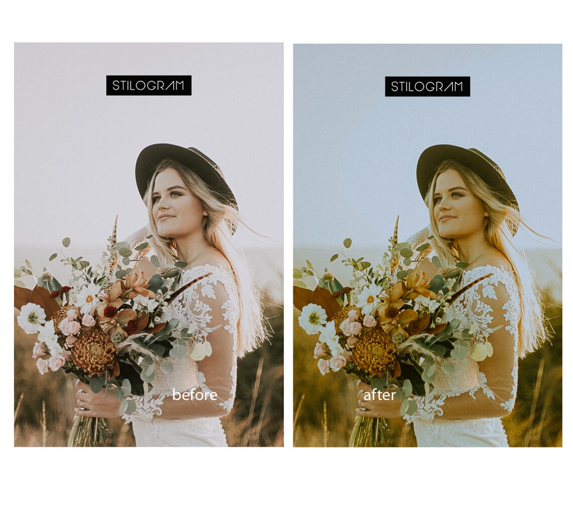 Luts Inspired by Van Gogh for Film & Video Color Grading -warm Yellow ...