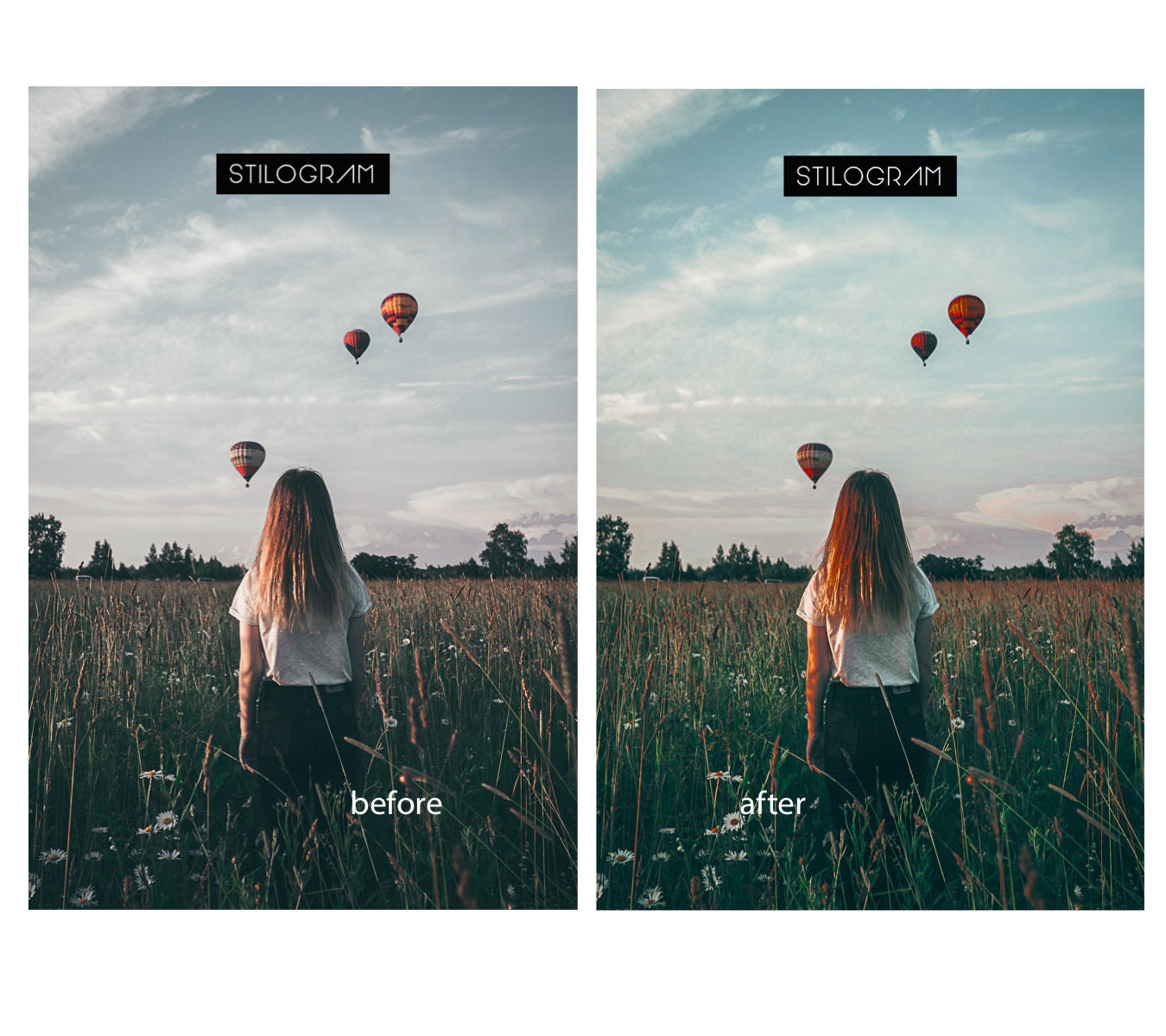 Luts Inspired by Van Gogh for Film & Video Color Grading -warm Yellow ...