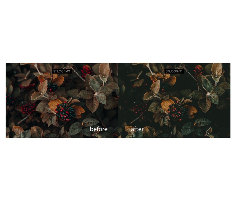 REMBRANDT Lightroom Preset Pack - Burnt Umber, Gold, Sepia Filters ...