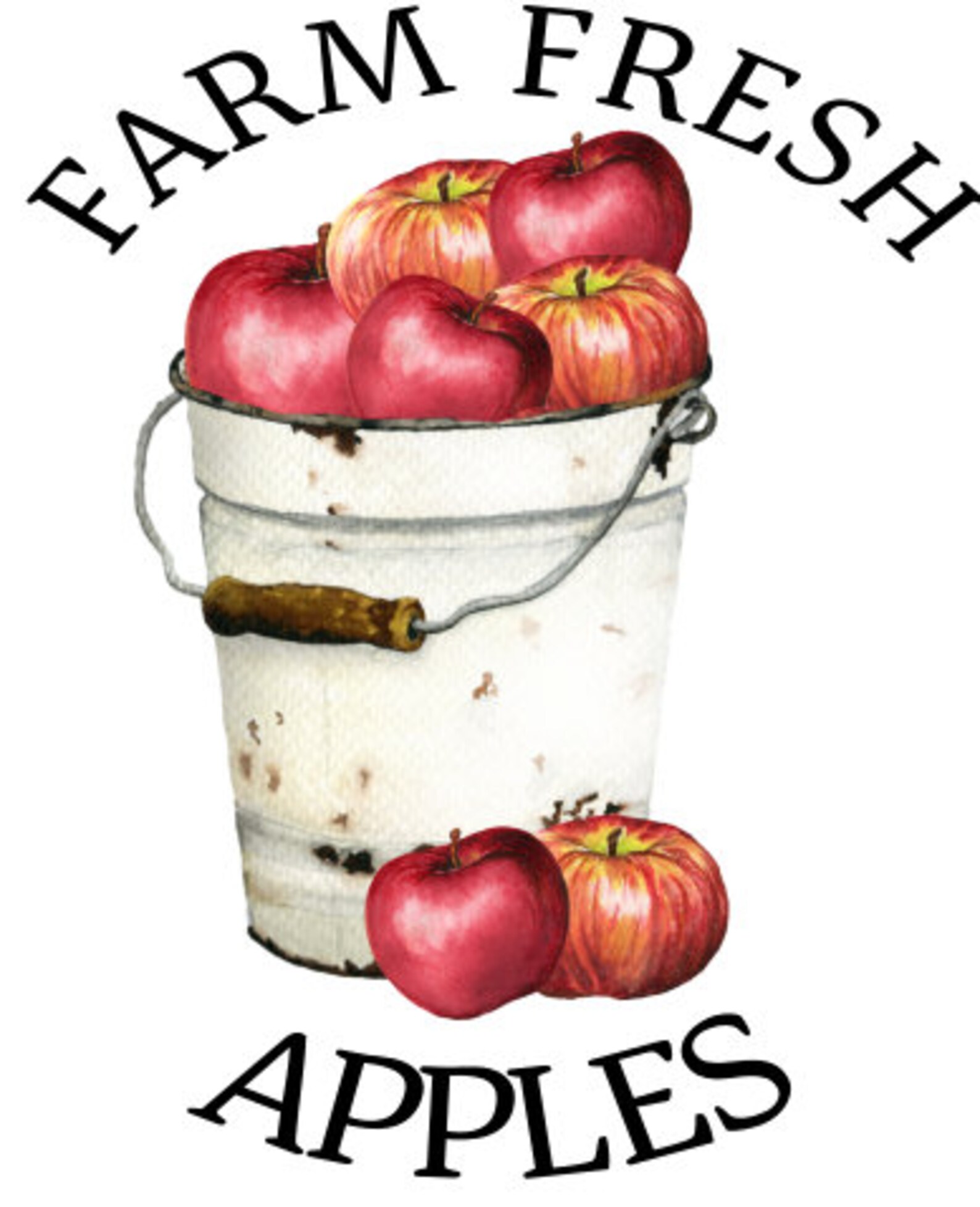 Apple Fall Sublimation Design Farm Fresh Apples Fall | Etsy