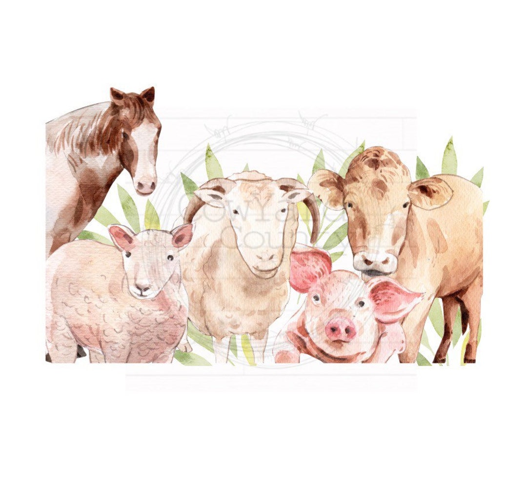 Farm Animals Png, Farm Sublimation, Sublimation Designs, Farm Png ...