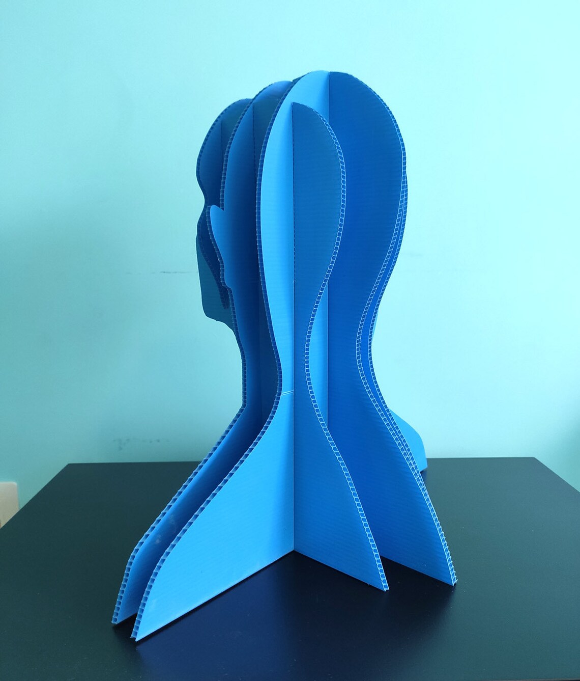 Face Mask Display Sculpture Laser Cut Vector File .AI .PDF .PLT .eps ...