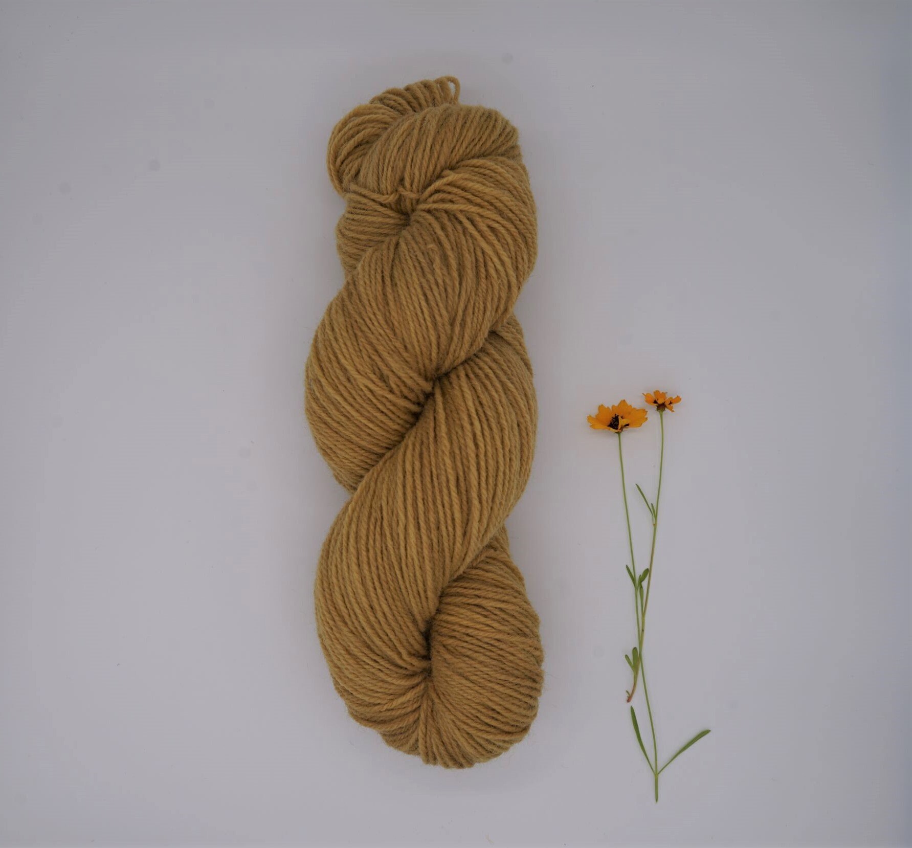 Hand Dyed All Natural Merino Sockyarn - Classic Sock DK 