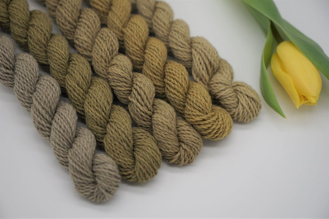Special Sale: Hand Dyed Sock Yarn Luster Sock DK Mini Skein 15 G ...