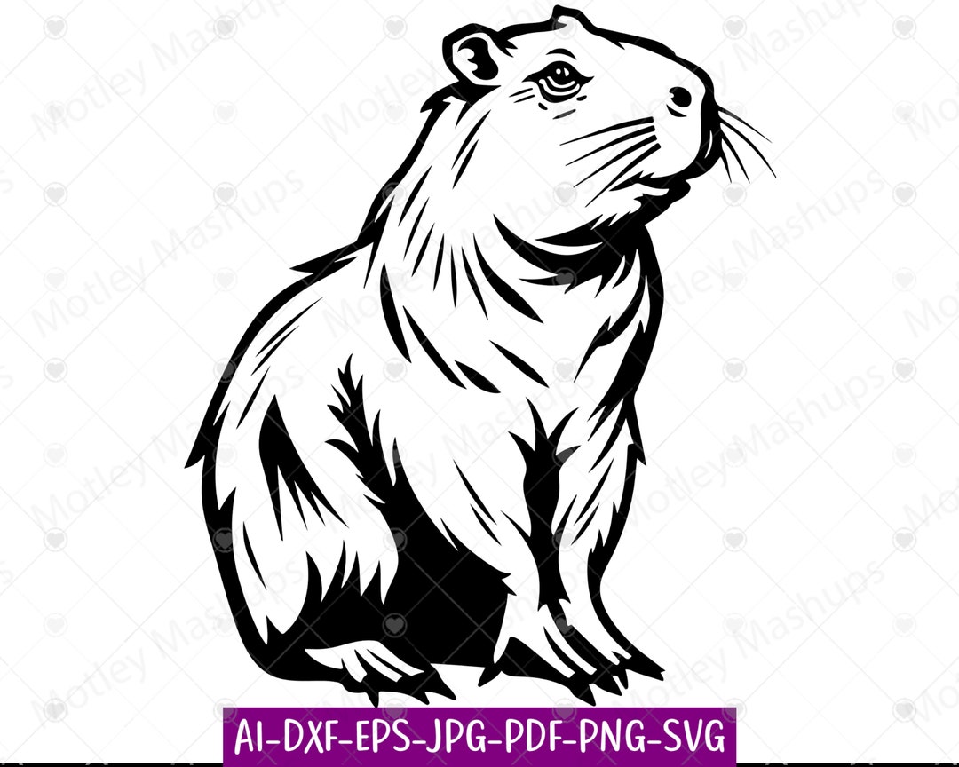 Capybara SVG PNG, Animal Svg, Rodent Svg, Wildlife Cutting File, Kids T ...